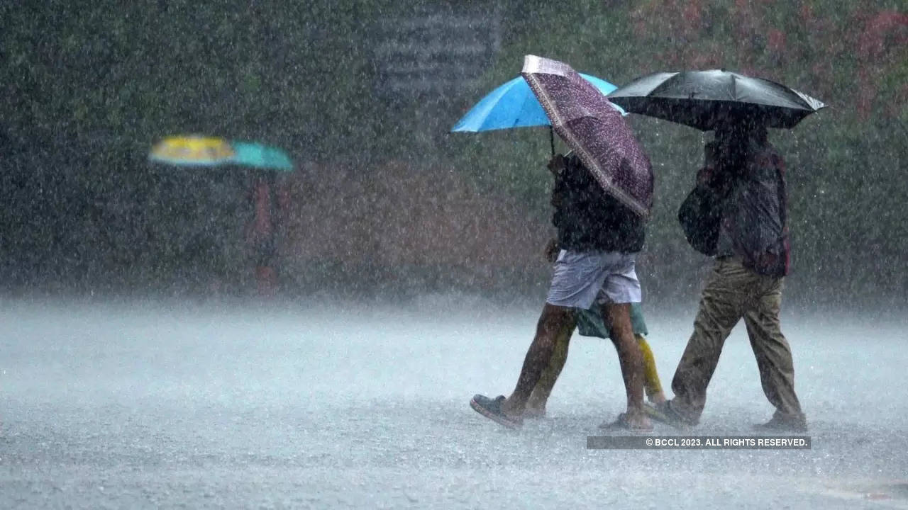 IMD predicts normal Monsoon rains for 2023 amidst evolving El Nino IMD predicts normal Monsoon rains for 2023 amidst evolving El Nino